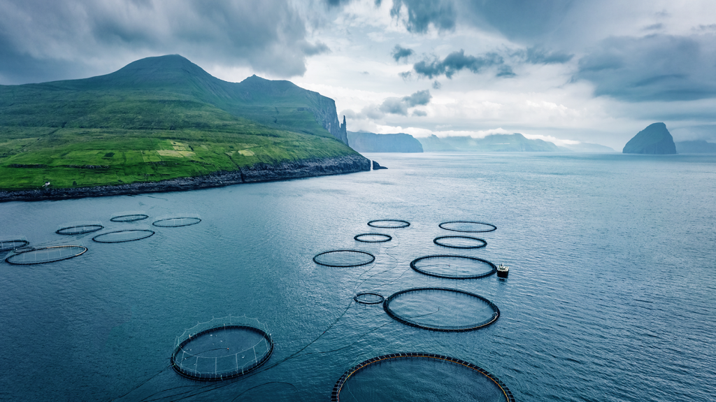 Minesto | Kite systems